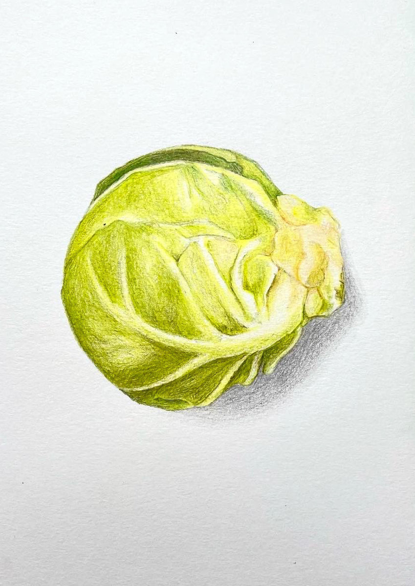 READY TO VIEW! Quick Draw Sprout – Pencil on Paper