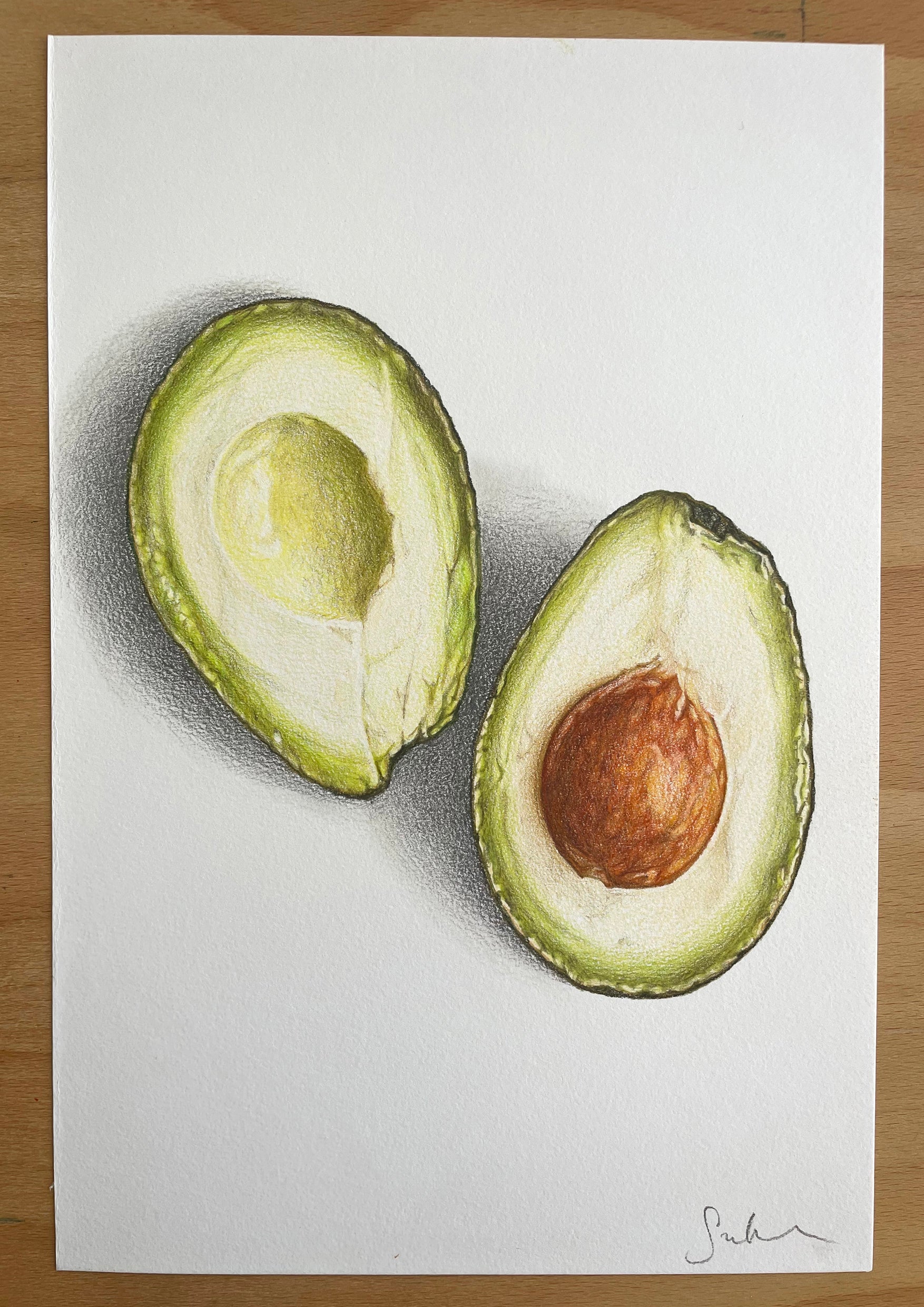 Avocado Pencil Drawing