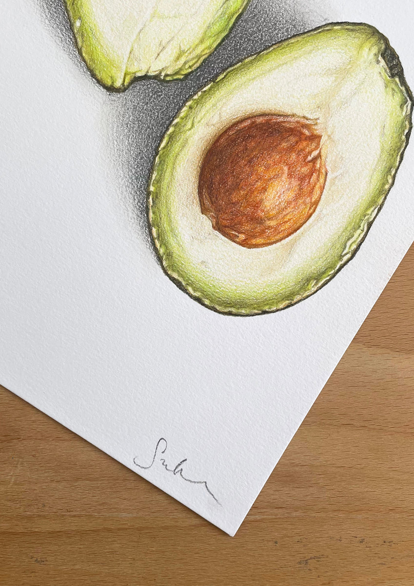 Avocado - Original Hand Drawing – Pencil on Paper