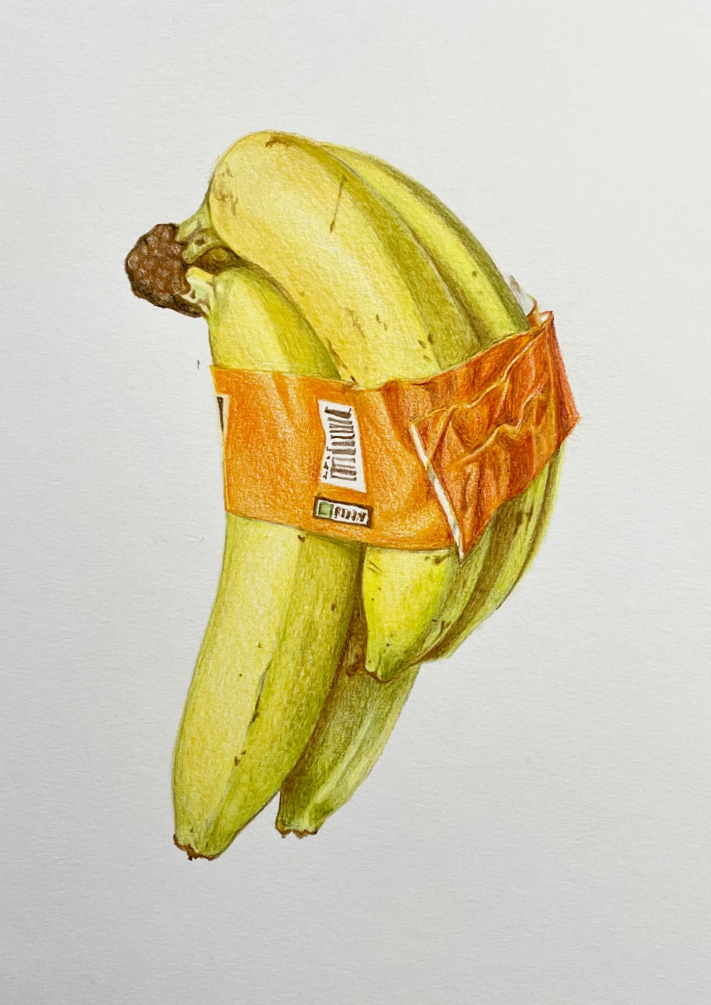 Drawing Of Banana Bunch