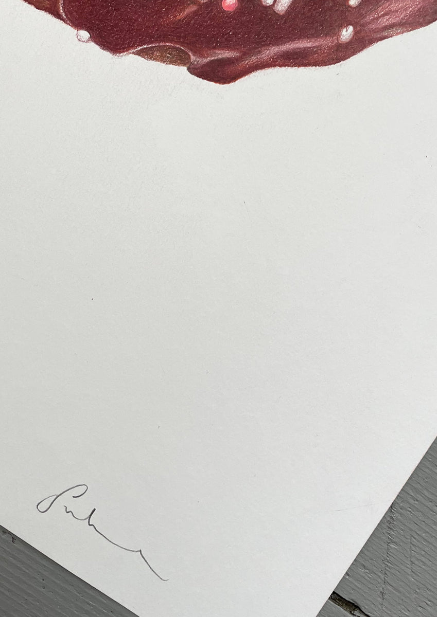 Sprinkles - Original Hand Drawing – Pencil on Paper