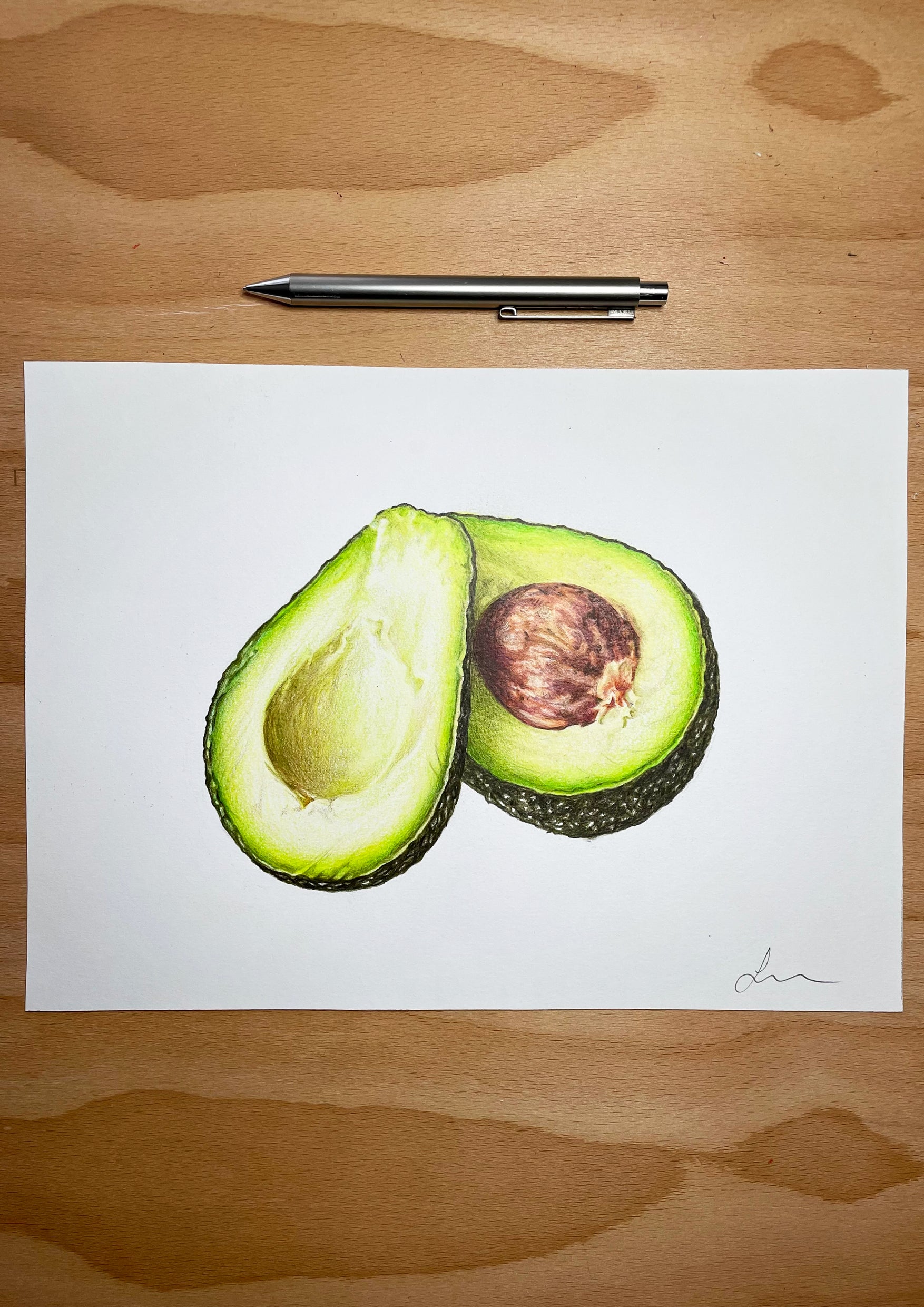 Avocado Pencil Drawing